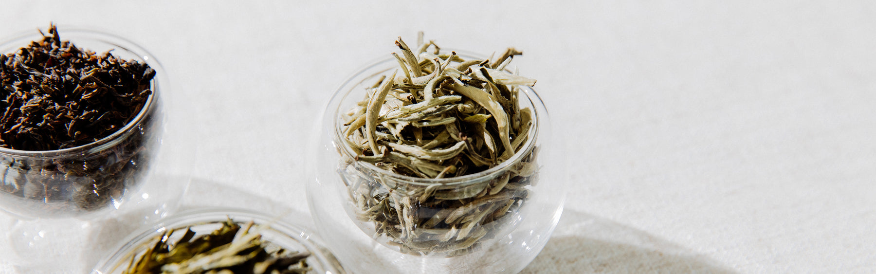 Single Origin Teas | Silver Needle Tea & More | Art of Tea